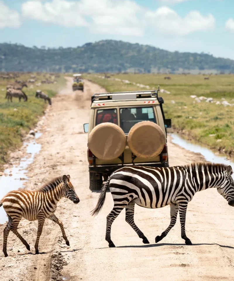 Homepage City Tour – Afrilux Expeditions